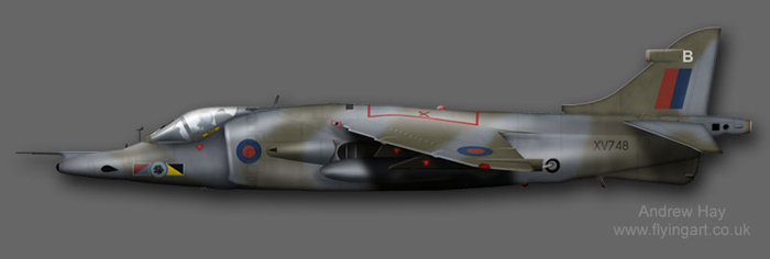 On Target Aviation - Harrier